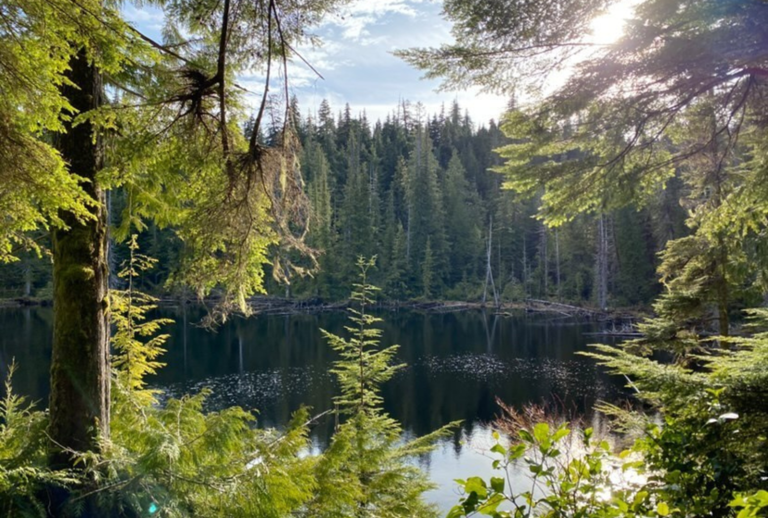 General Grants – Real Estate Foundation of BC - Gwaii Engineering